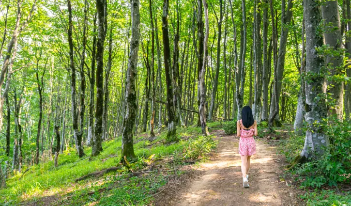 Maps | Municipality of Dysart ET AL